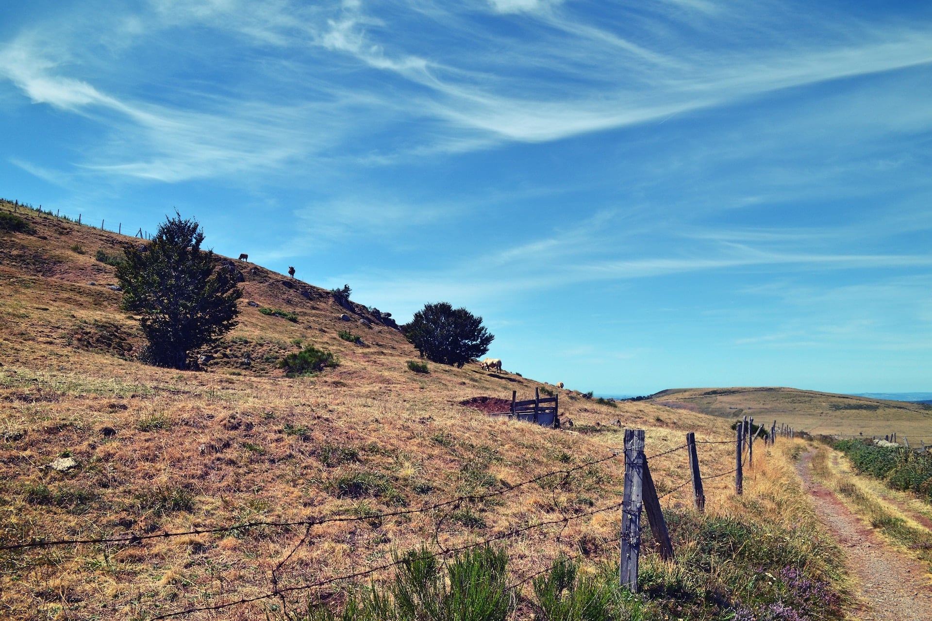 Le GR 65 : un sentier de randonnée à faire absolument - La minute Voyage